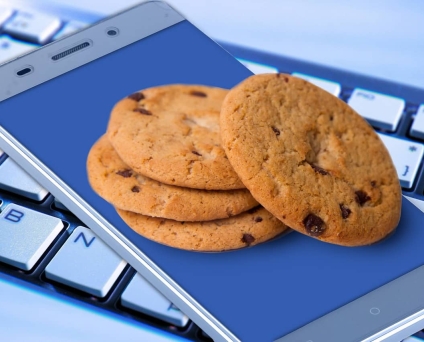 Premier Web Design & Digital Marketing - St. Pete and Sarasota, FL